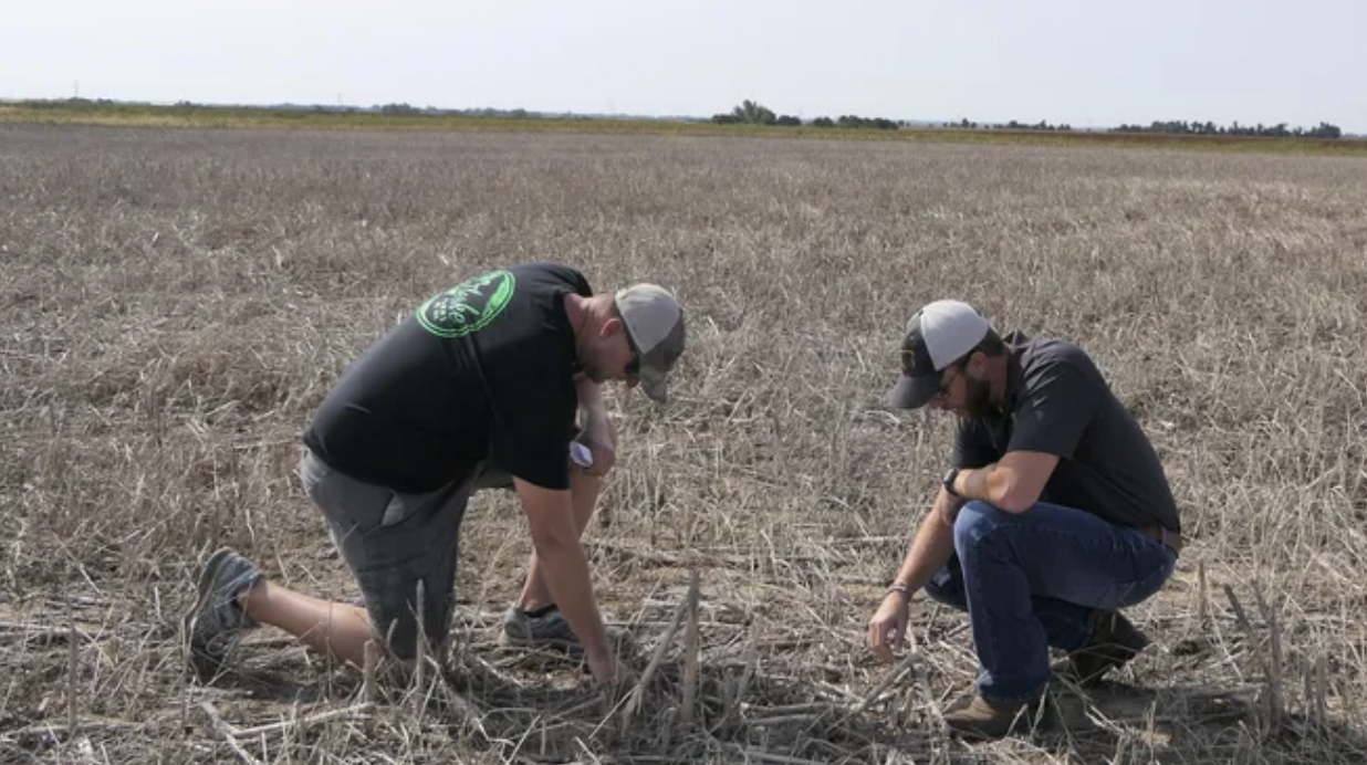 Kansas Conservation Series: Jed Fleske and the Kansas Soil Health ...