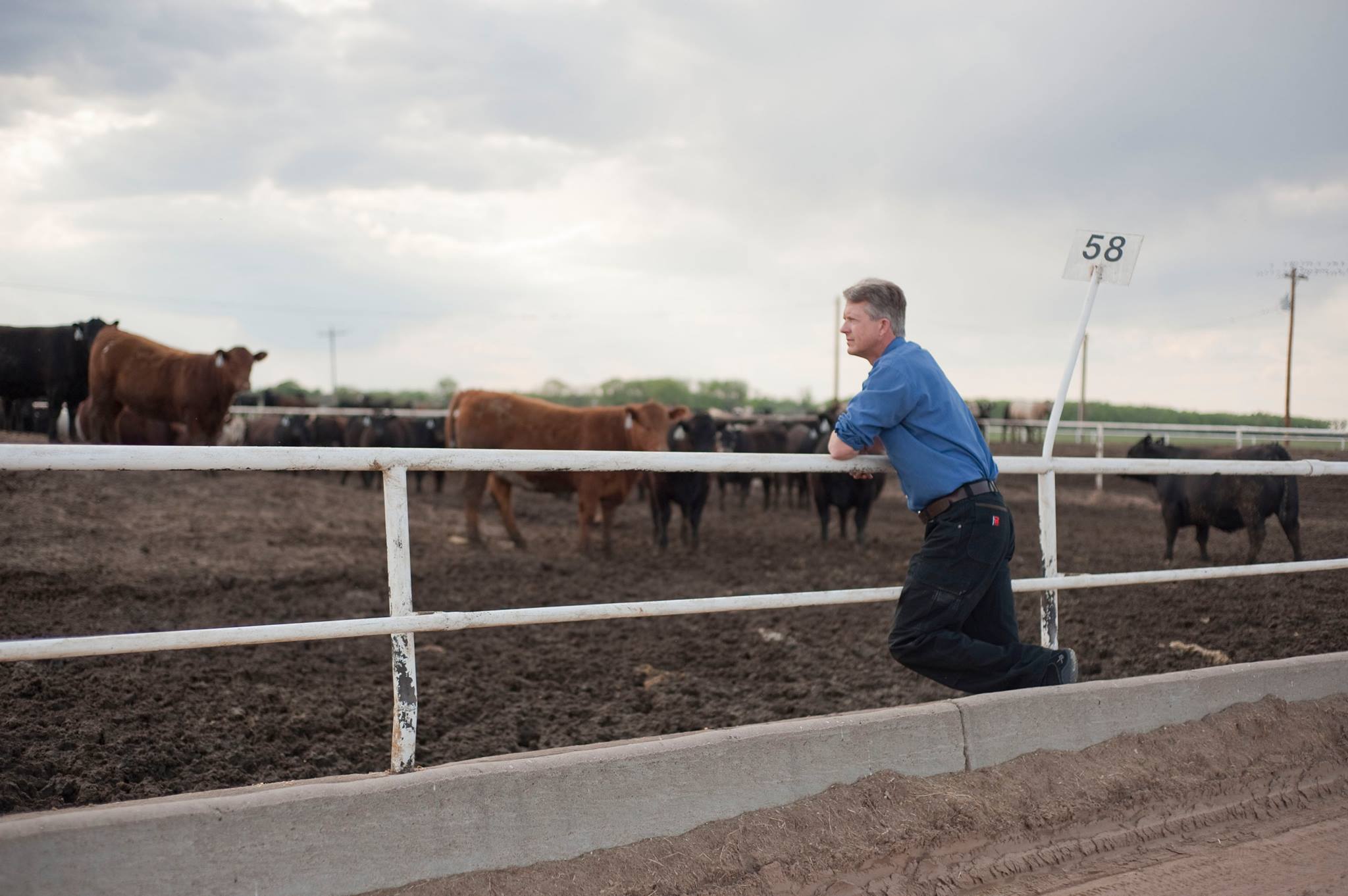 Farm Bill Survey - Senator Roger Marshall